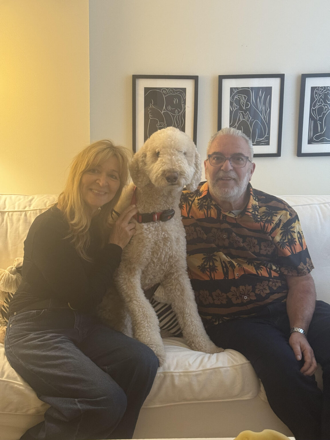 Dr. Lowenstein and Associates - Dr. David Lowenstein and Associates